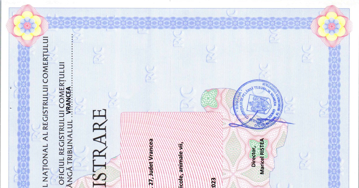 CERTIFICAT INREGISTRARE.pdf | DocDroid