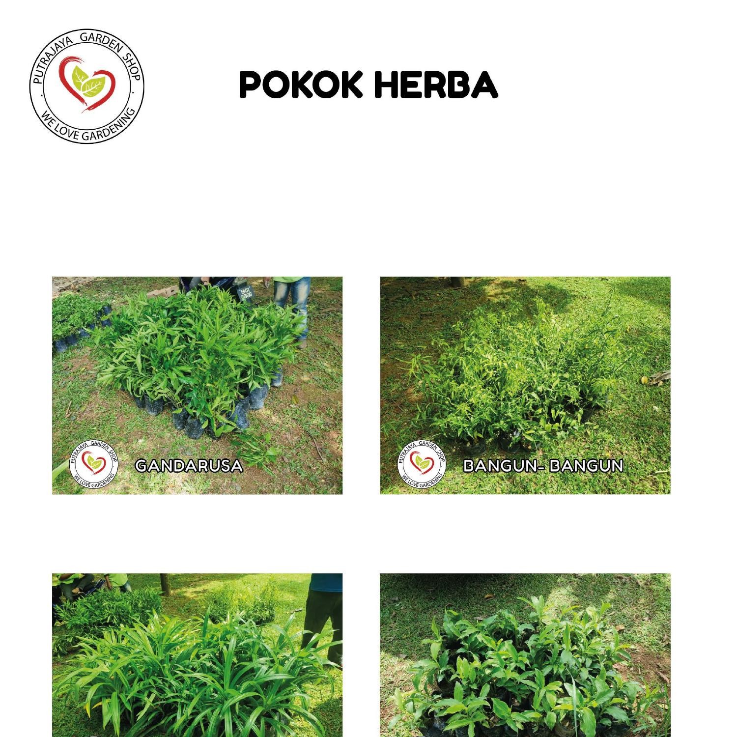 POKOK HERBA.pdf | DocDroid
