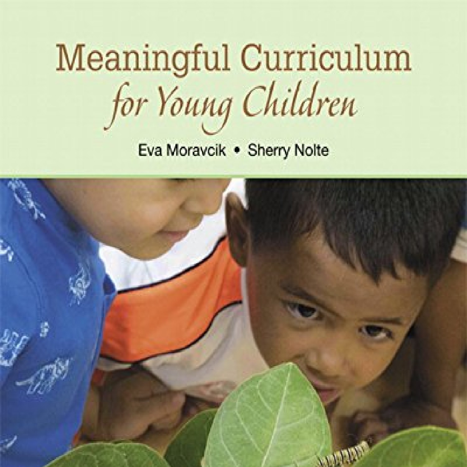 BOOK Meaningful Curriculum for Young Children.pdf | DocDroid