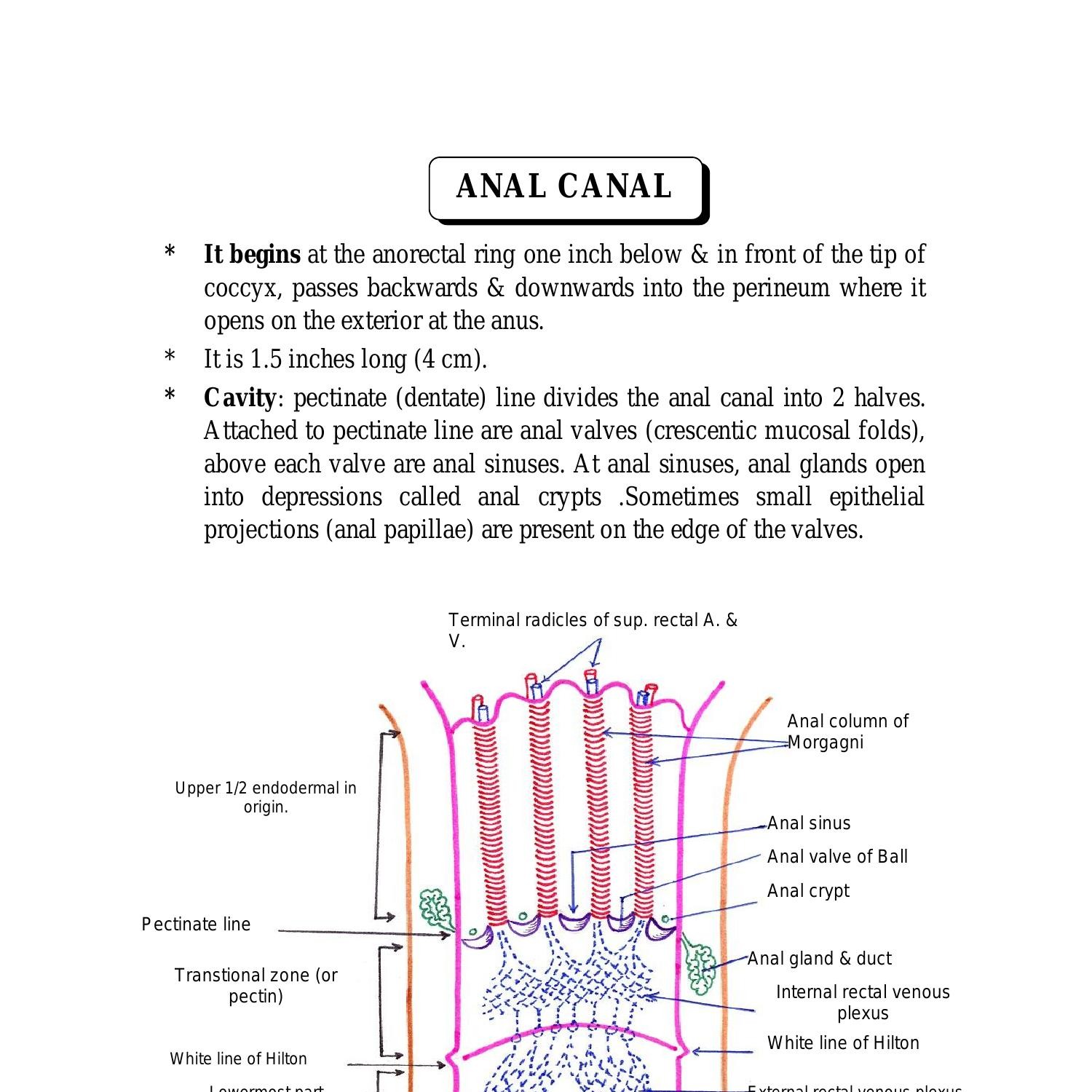 Define Canal Anatomy | Anatomy, Back, Vertebral Canal – NHMRJ