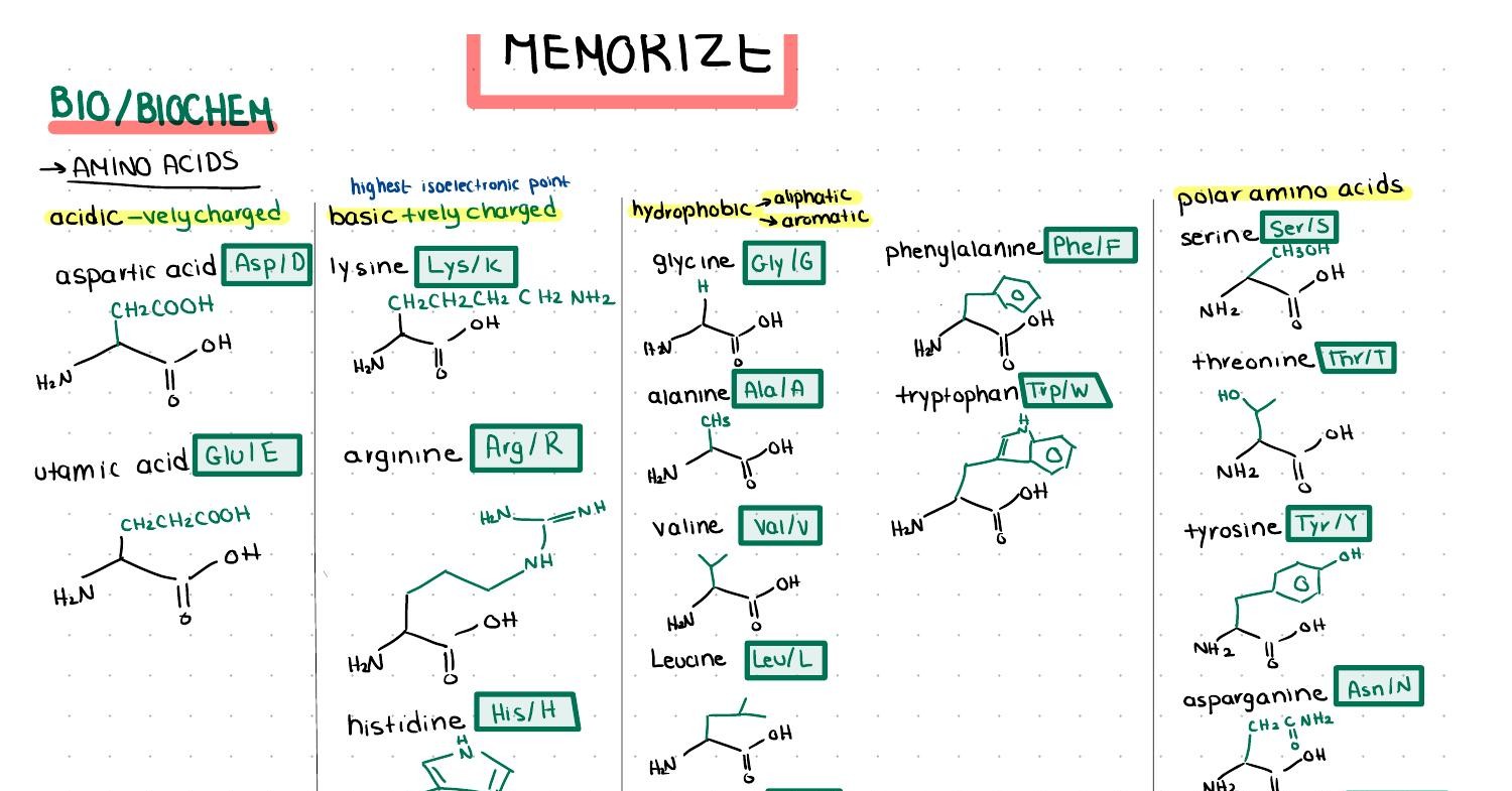 STUFF TO MEMORIZE.pdf | DocDroid