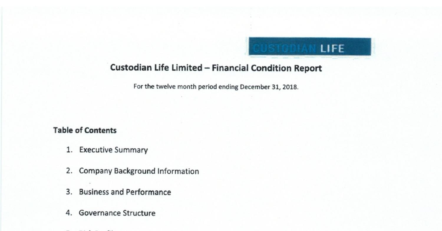 Financial Condition Report.pdf | DocDroid