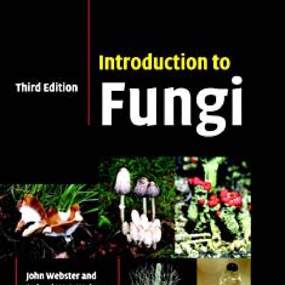0. Introduction to Fungi.pdf | DocDroid