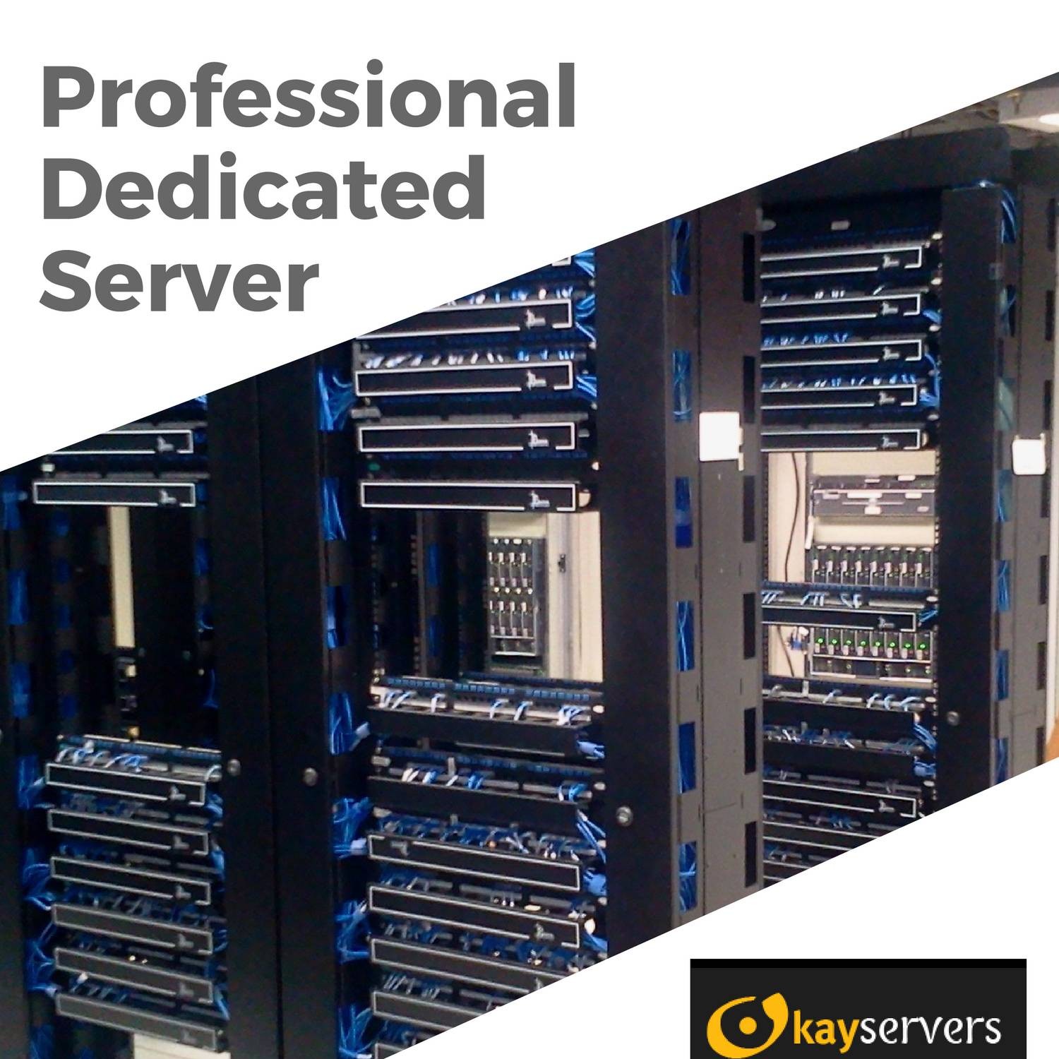 Professional Dedicated Server.pdf | DocDroid