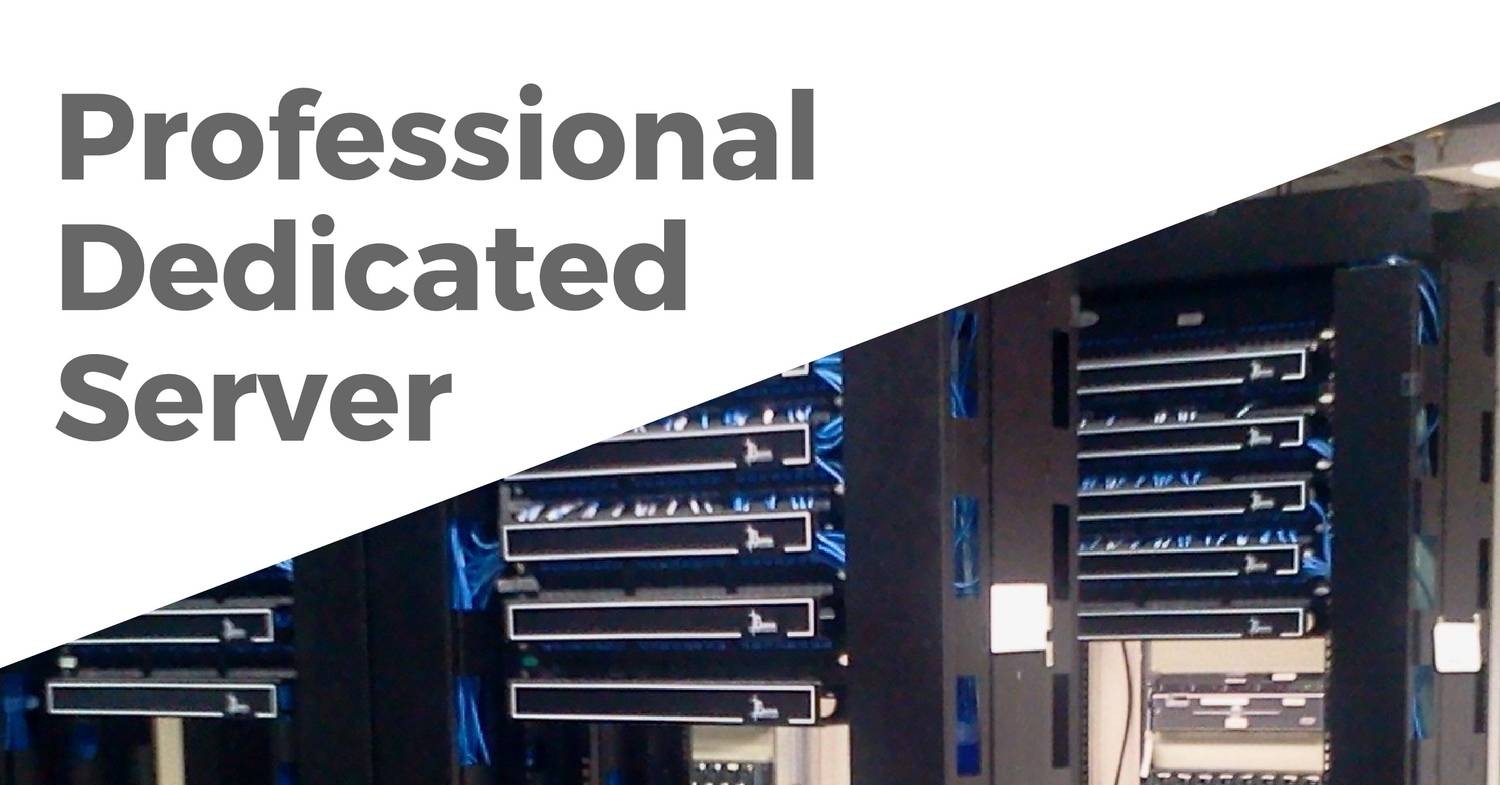 Professional Dedicated Server.pdf | DocDroid