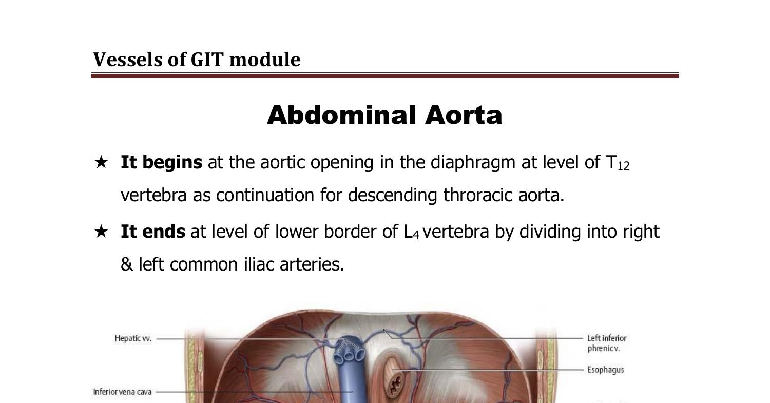 anatomy vessels GIT module 2022.doc | DocDroid