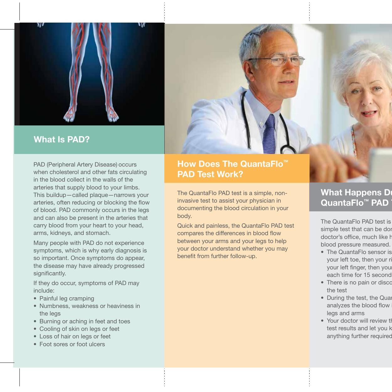 What Happens During the QuantaFlo™ PAD Test.pdf | DocDroid