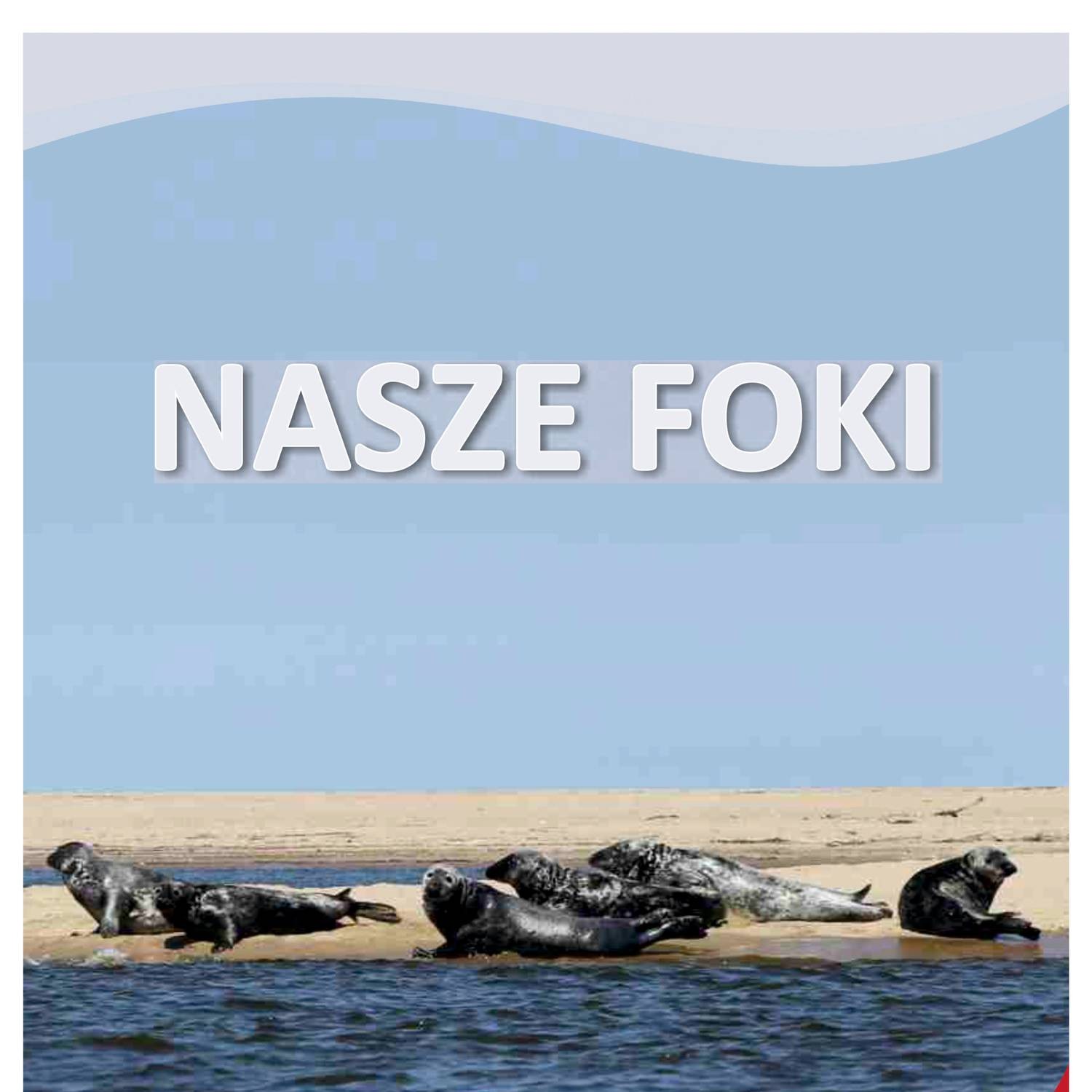 nasze foki.pdf | DocDroid