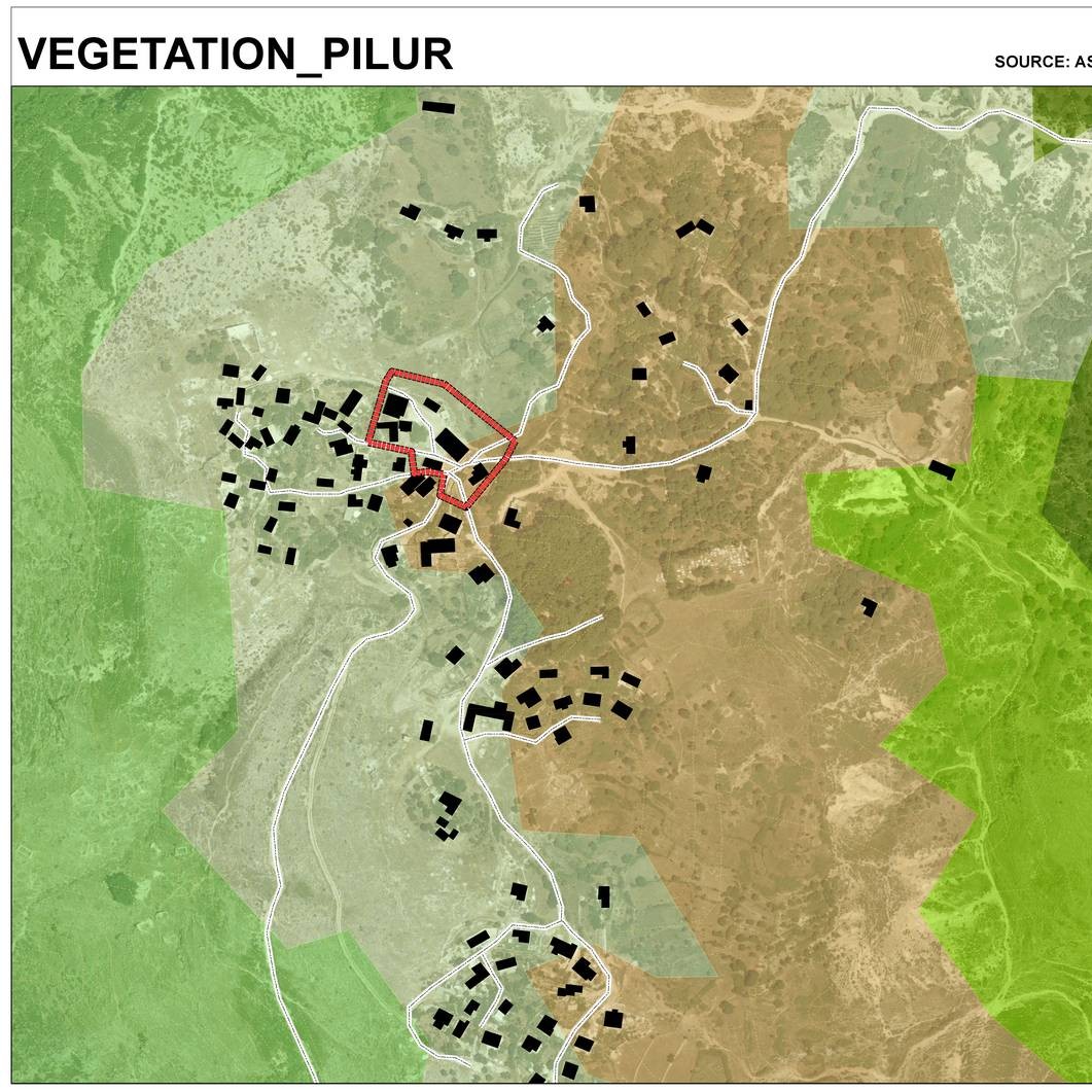 02_VEGETATION_PILUR.pdf | DocDroid