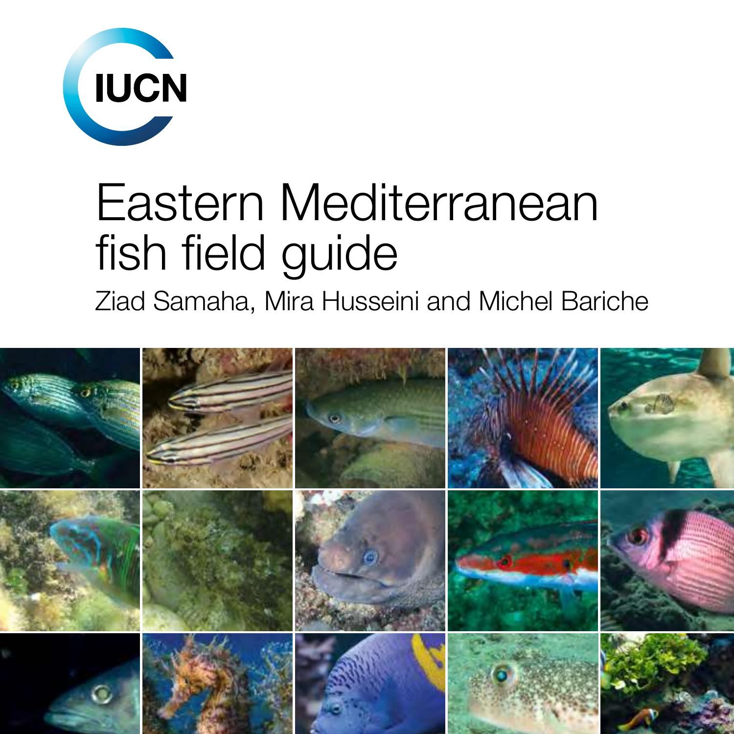 Eastern Med Fish Field Guide.pdf | DocDroid
