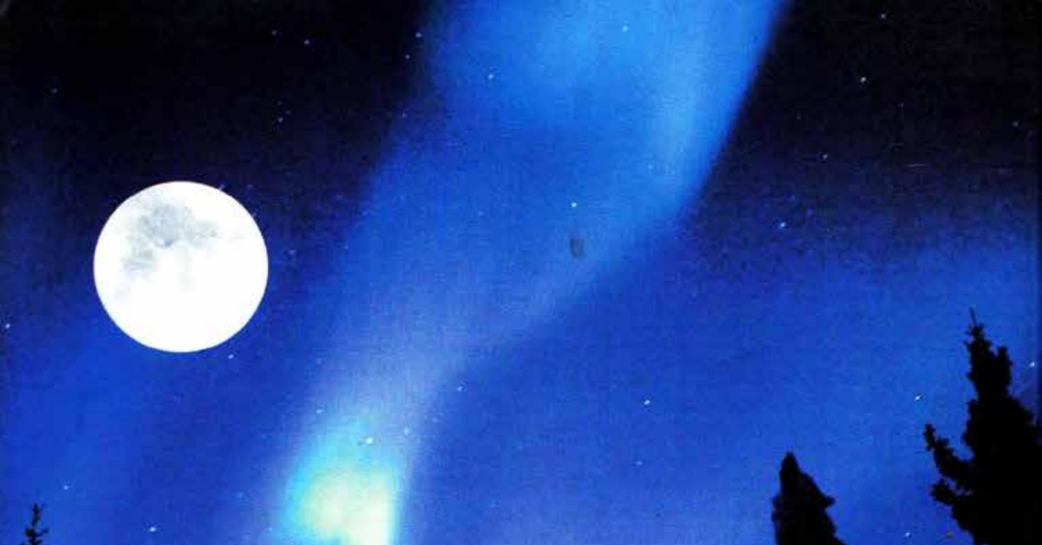 NKEY-2022-banglabook.org.pdf | DocDroid