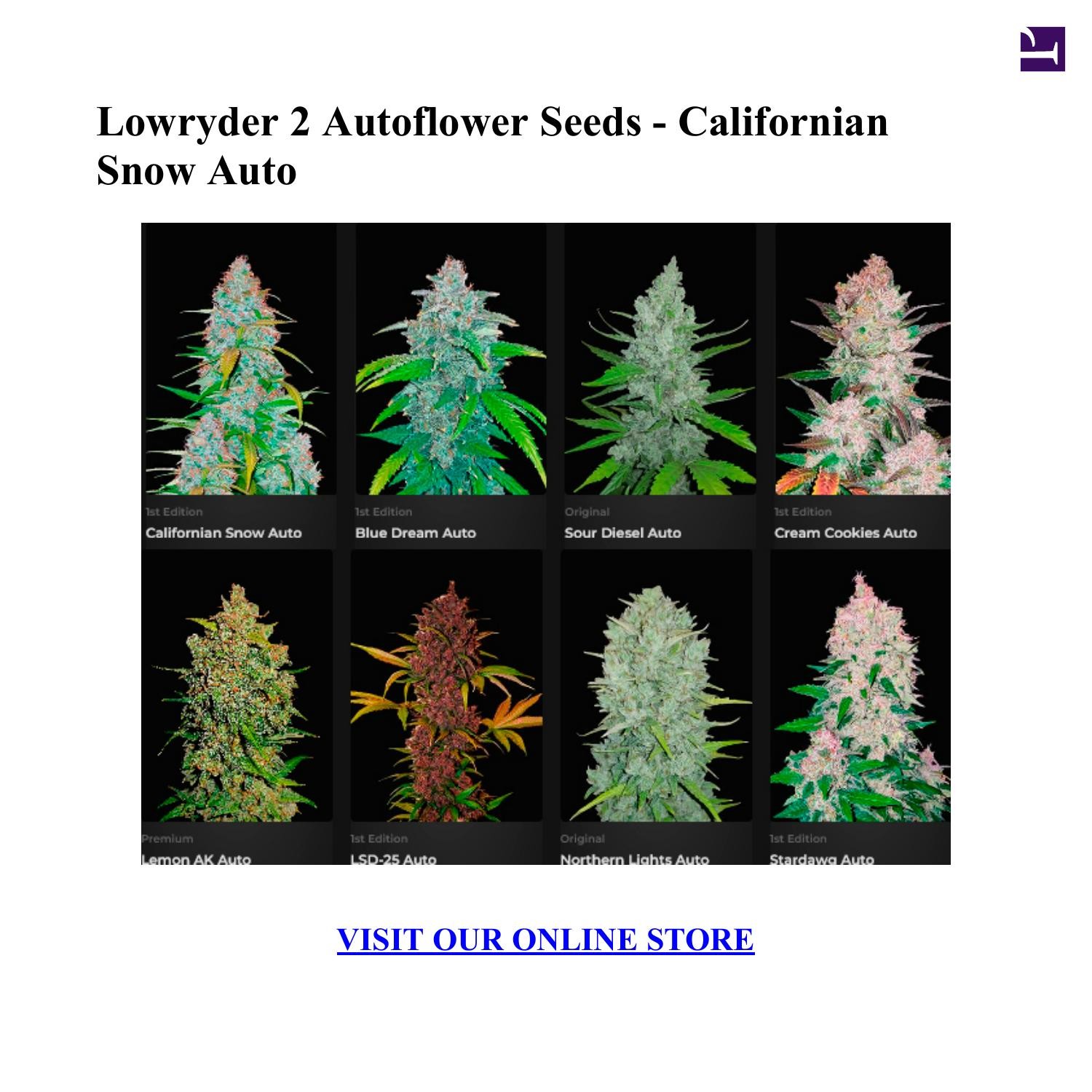 Lowryder 2 Autoflower Seeds.pdf | DocDroid