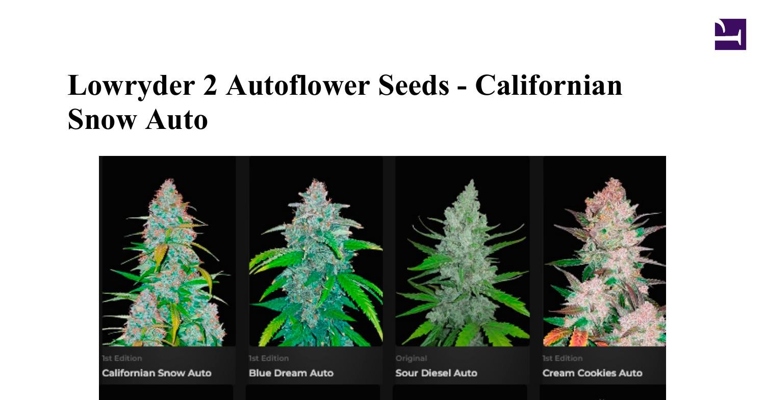 Lowryder 2 Autoflower Seeds.pdf | DocDroid
