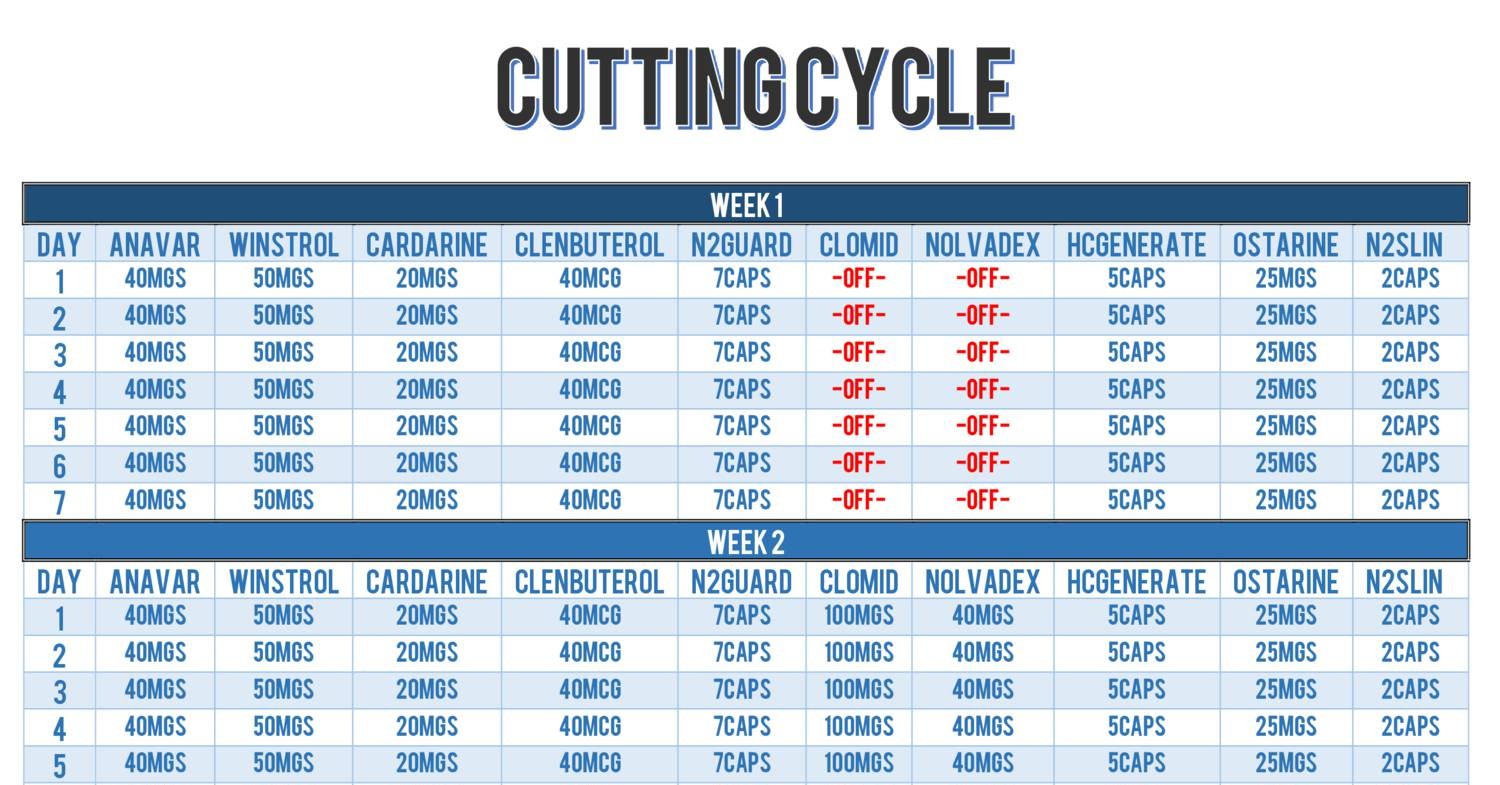 PCT CYCLE.pdf | DocDroid