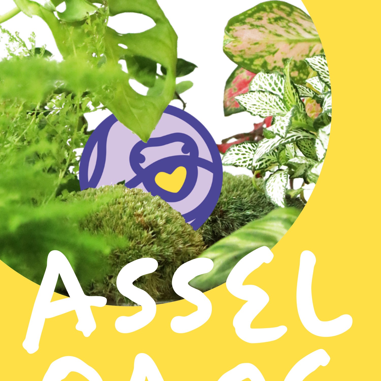 Assel_Care_Sheet_Glossy_Bugs.pdf | DocDroid