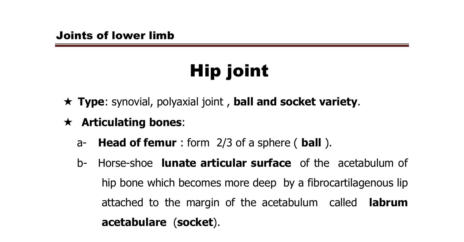 joints-of-lower-limb-2022-doc-docdroid