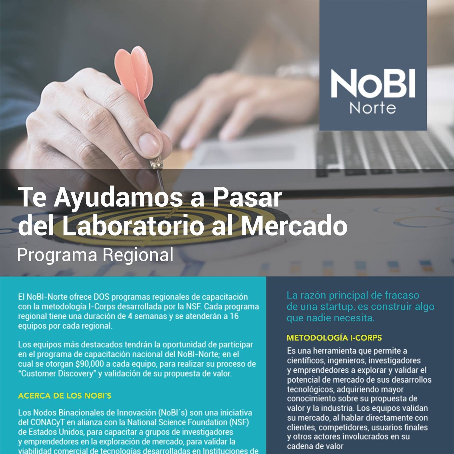 PROGRAMA REGIONAL-NOBI-NORTE.pdf | DocDroid