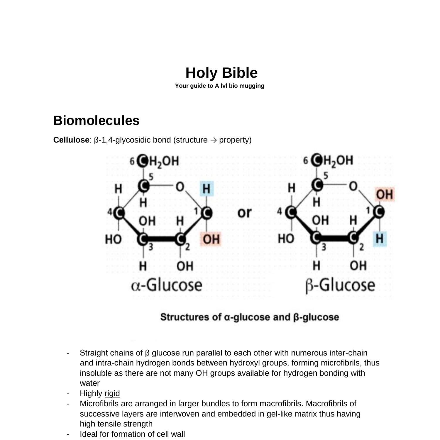 Bio bible ver 5.docx | DocDroid