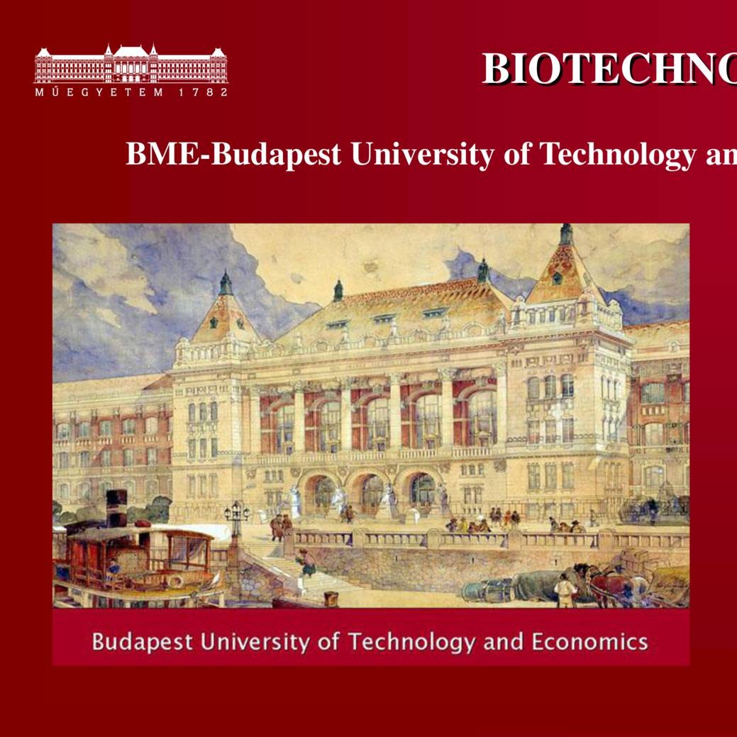 Aron Nemeth.pdf | DocDroid