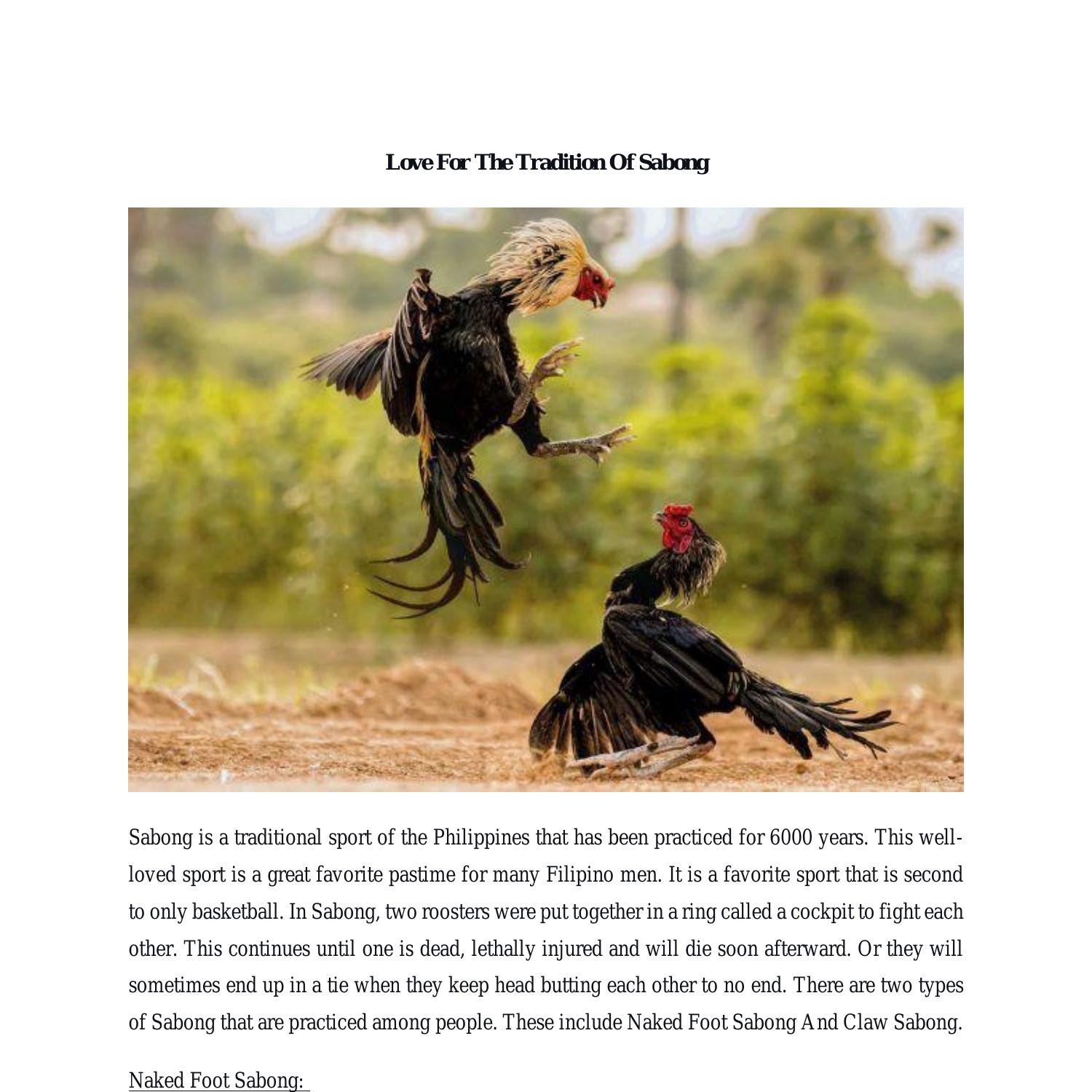 Love For The Tradition Of Sabong.pdf | DocDroid