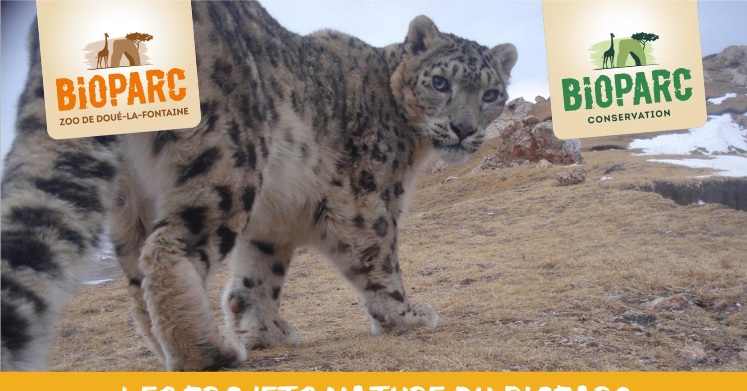 Bioparc_Projets Nature_Bilan 2017.pdf | DocDroid