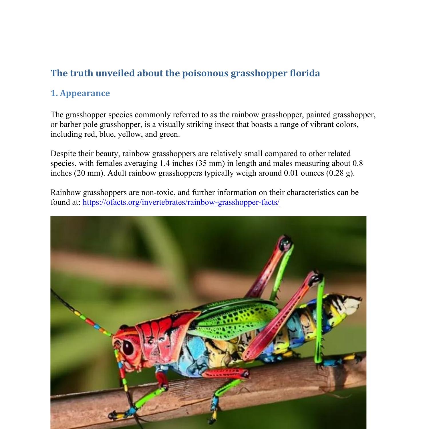 The truth unveiled about the poisonous grasshopper florida.docx | DocDroid