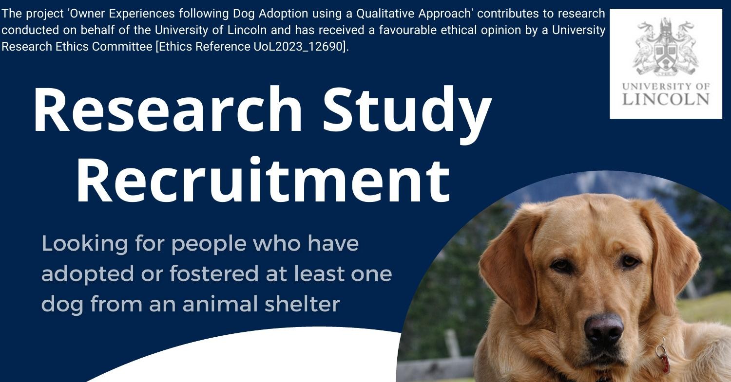 Study 1 Flyer Final.pdf | DocDroid