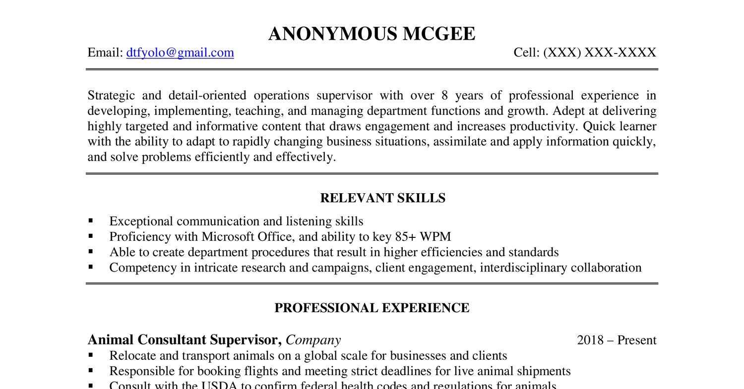 Resume Example.docx | DocDroid