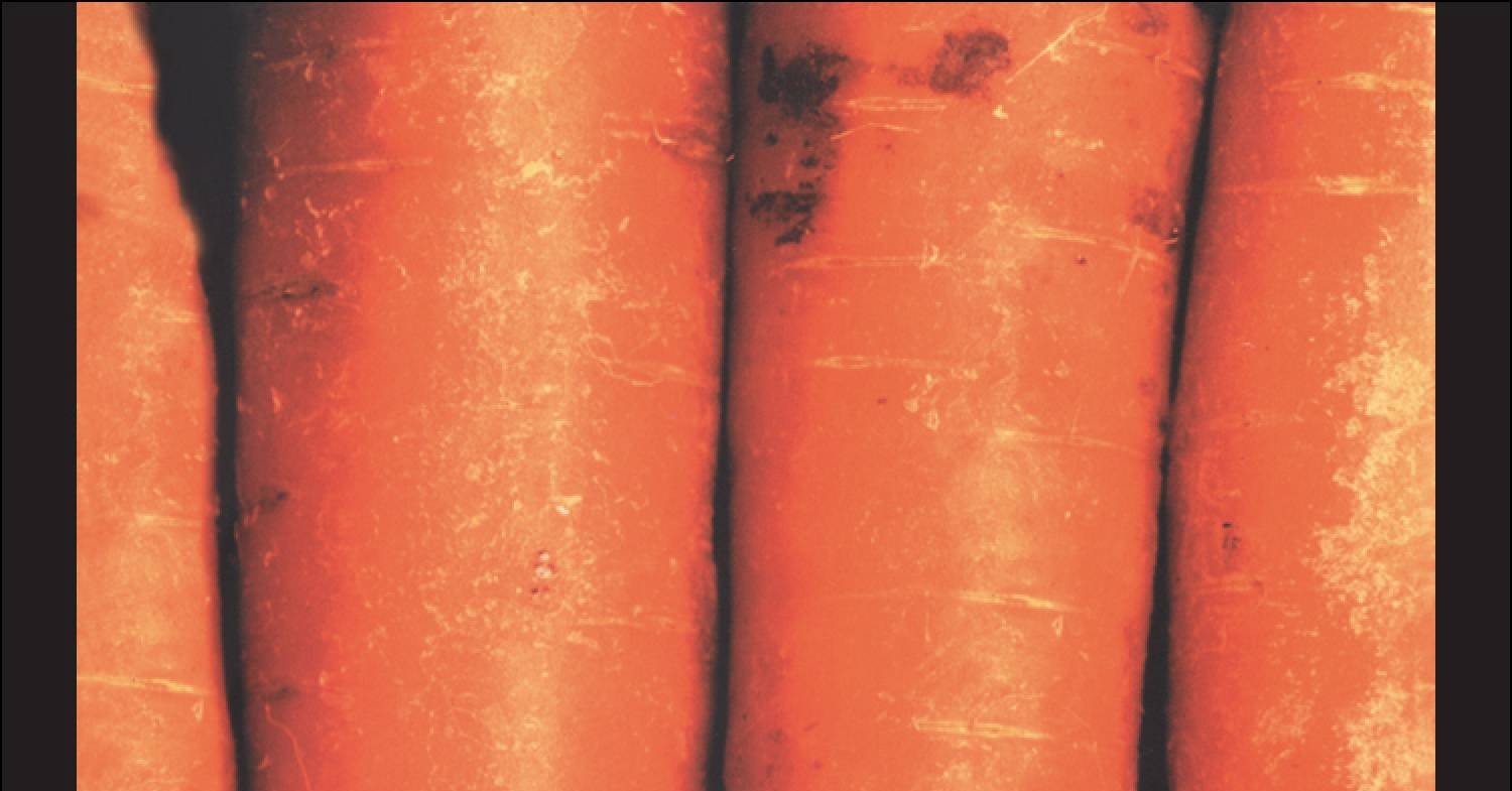 Simone Weil The Need for Roots Prelude to a Declaration of Duties ...