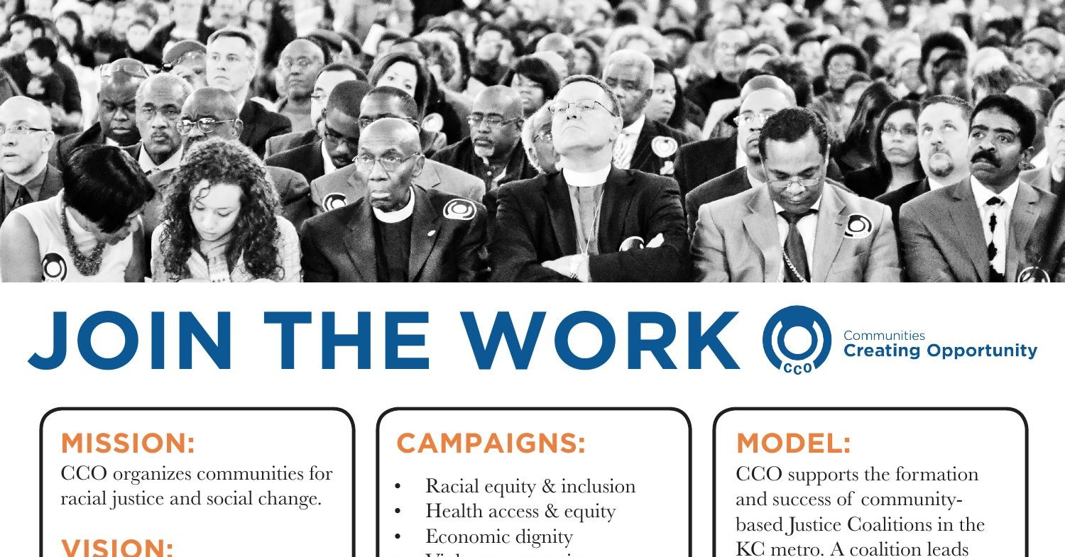 CCO Info Sheet 2020.pdf | DocDroid