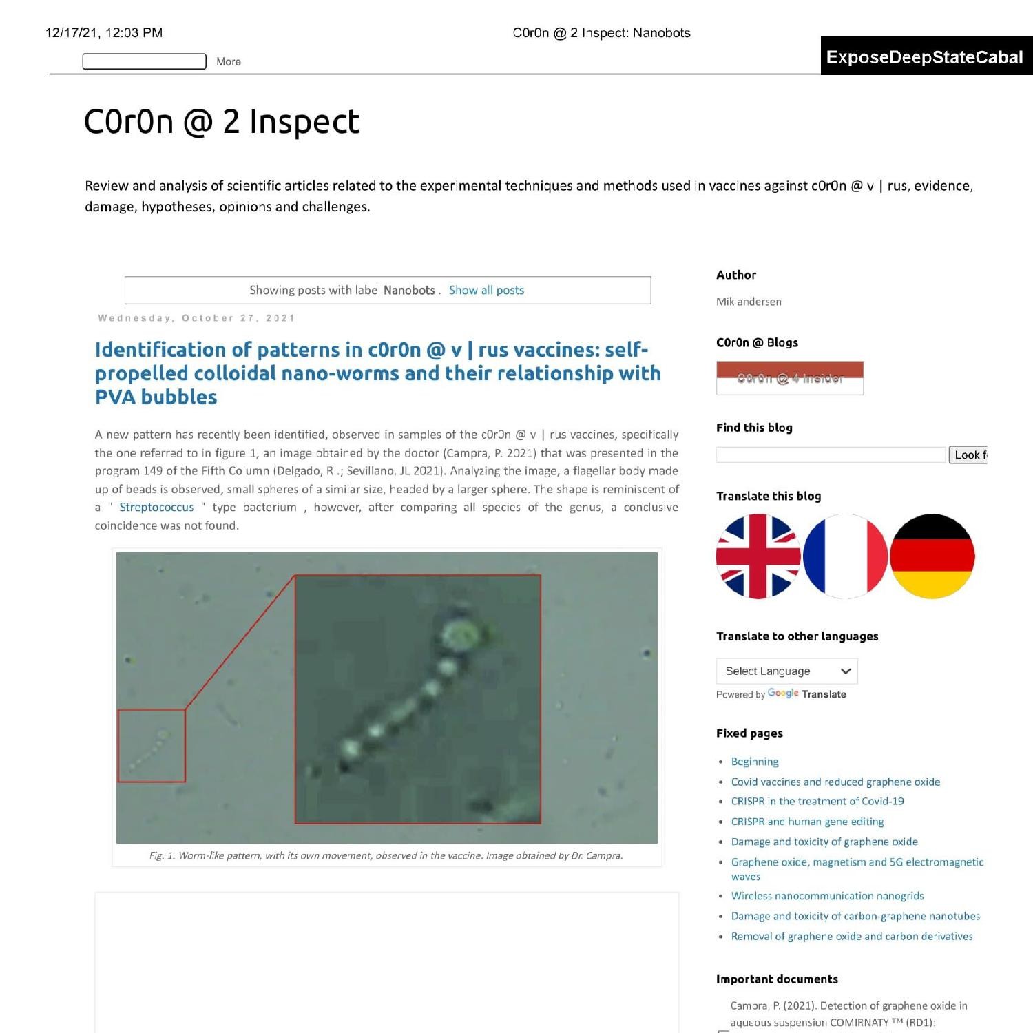 Nanobots: self-propelled colloidal nano-worms and their relationship ...