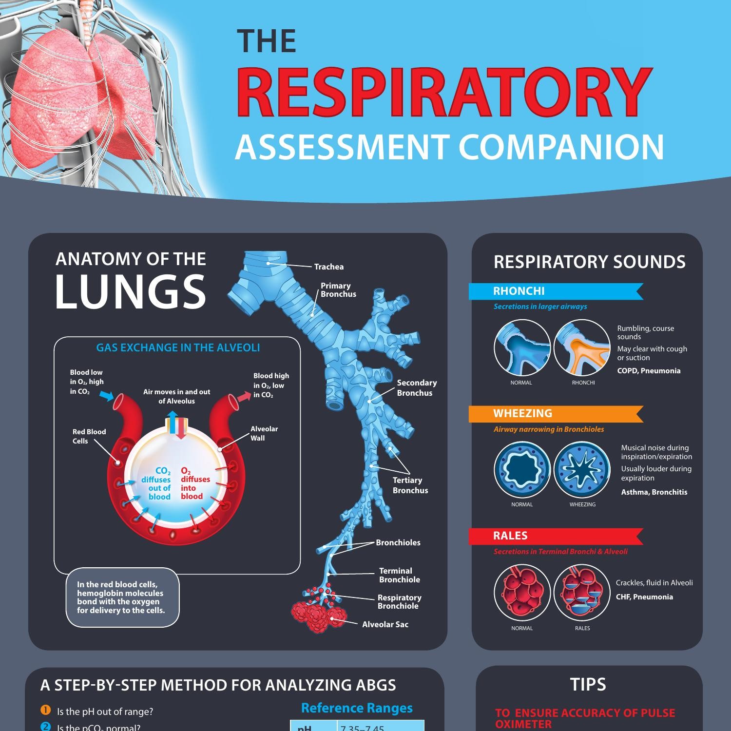 body system .pdf | DocDroid