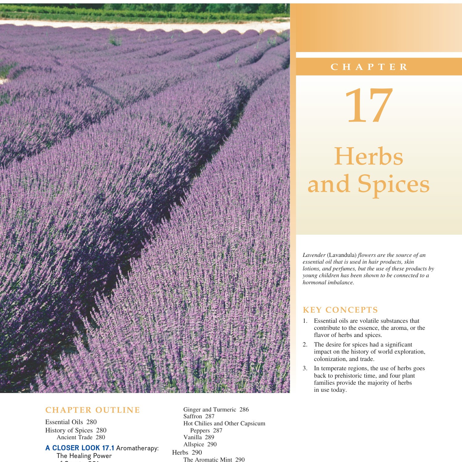 Plants and Society - Chapter 17.pdf | DocDroid