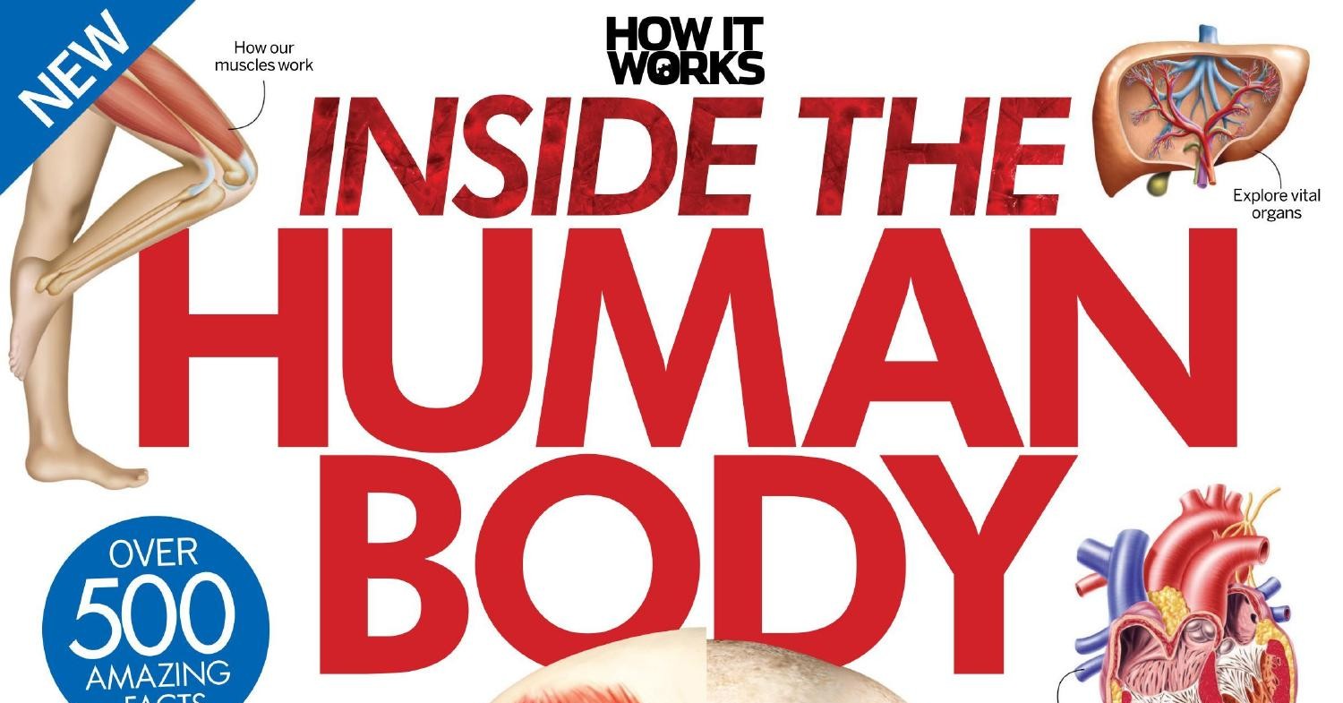 How the Body works.pdf | DocDroid