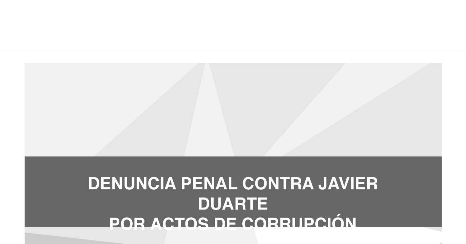 DENUNCIA PENAL Y ACCIONES VS CORRUPCIÓN.pdf | DocDroid