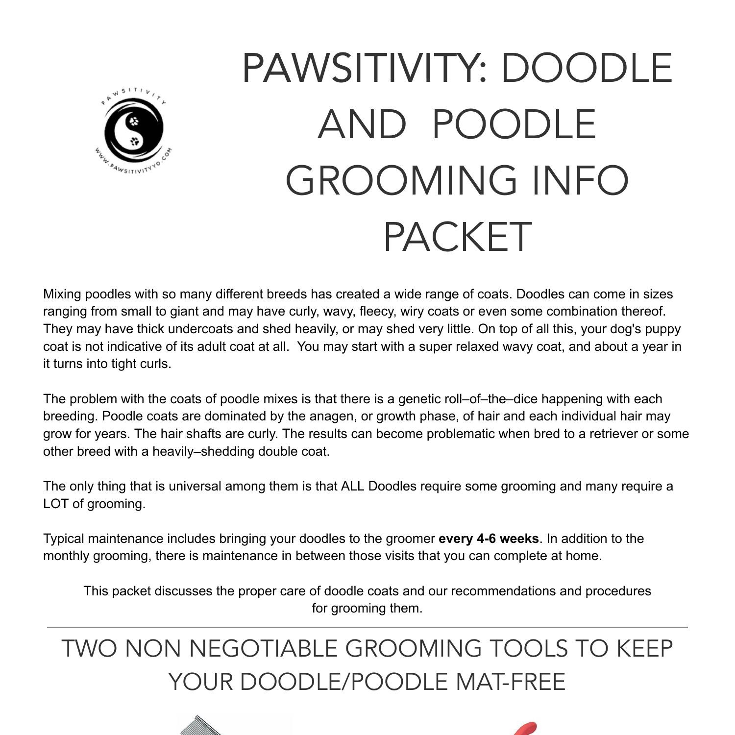 PAWSITIVITY_ DOODLE AND POODLE INFO PACKET.pdf | DocDroid