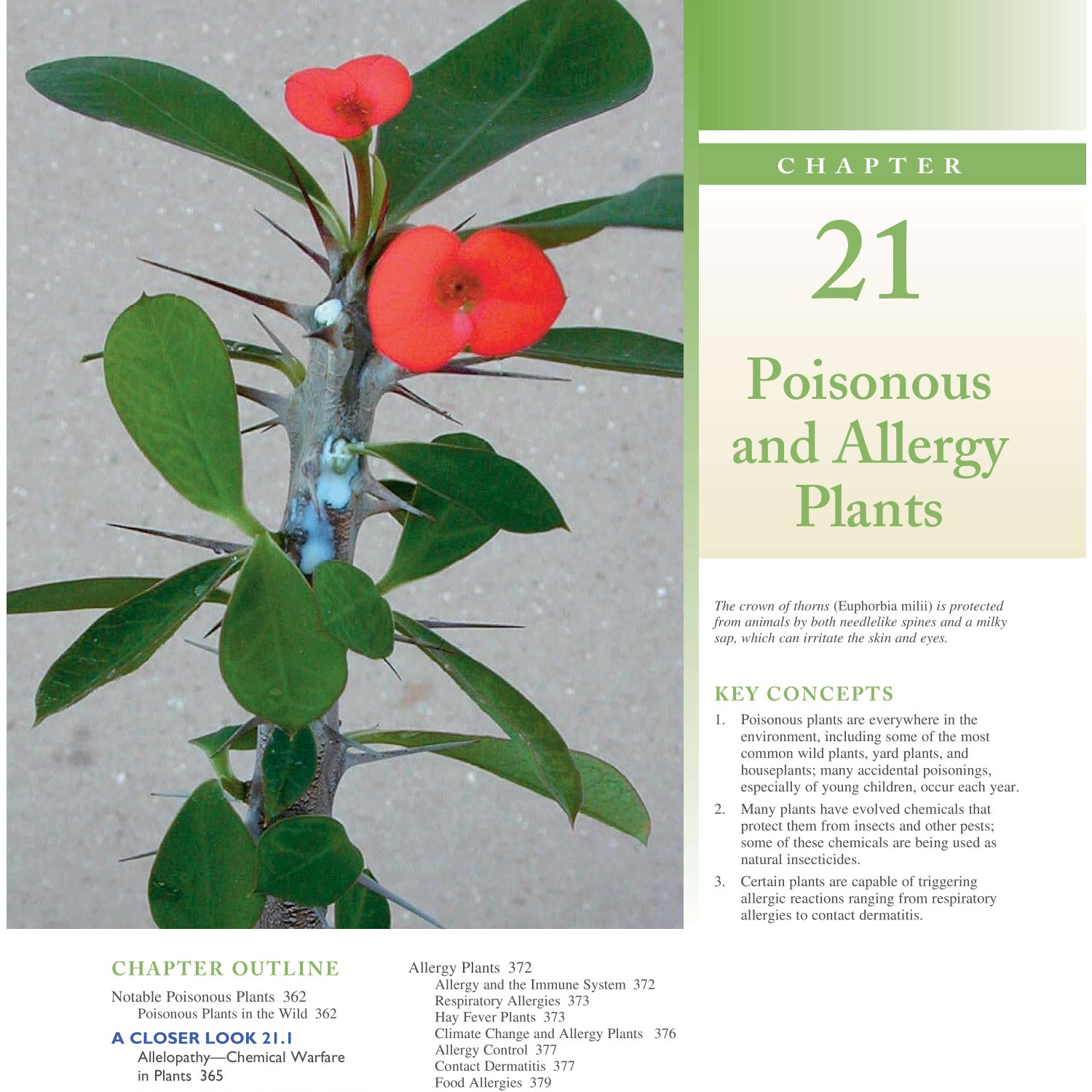 Poisonous and Allergy Plants - Reading.pdf | DocDroid