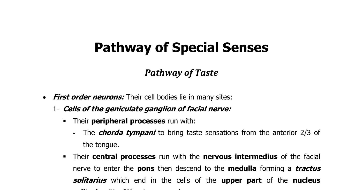 Anatomy pathway of Special Senses.docx | DocDroid