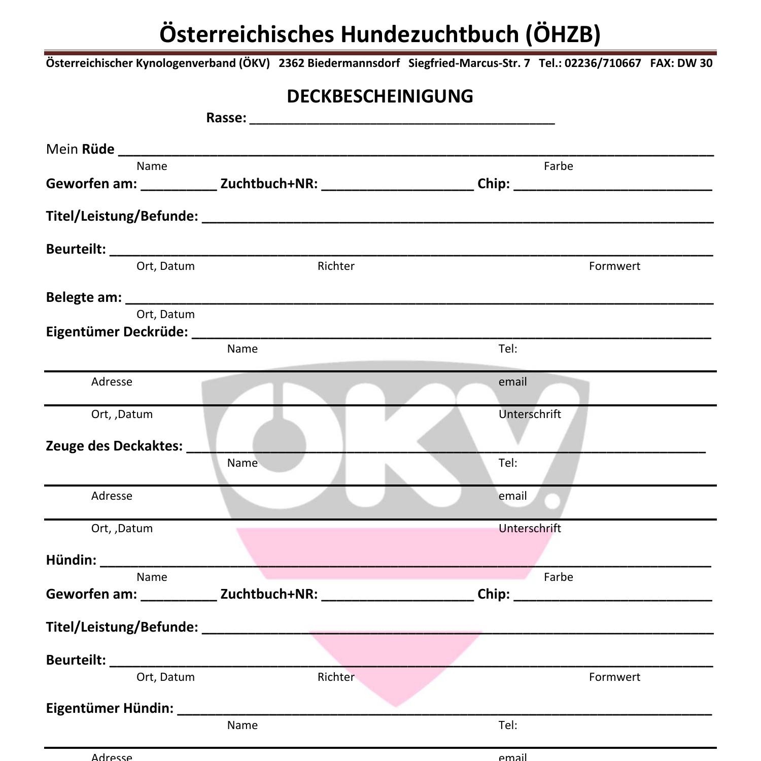 DECKBESCHEINIGUNG-Formular-2.pdf | DocDroid