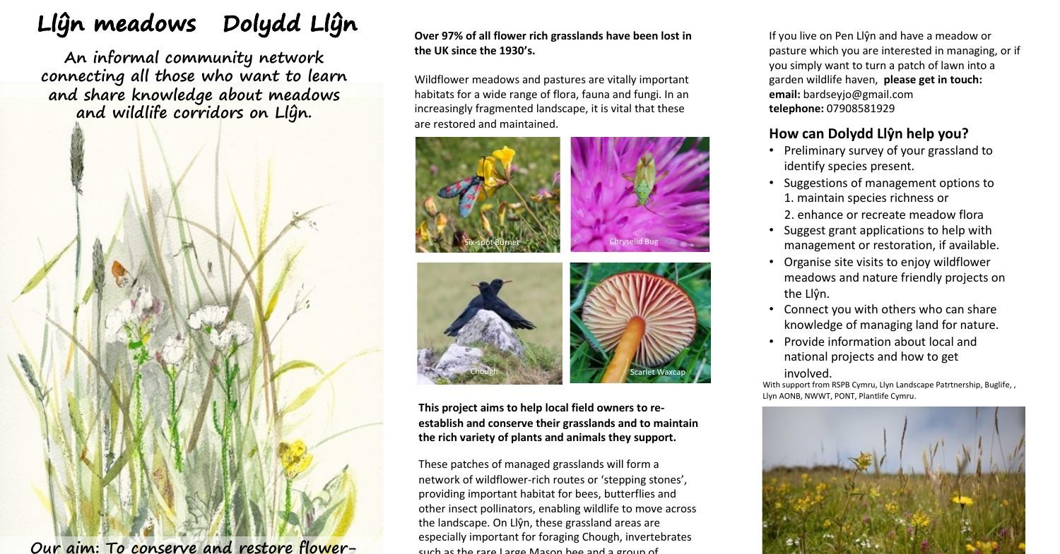 Llyn Meadows leaflet (1).pdf | DocDroid