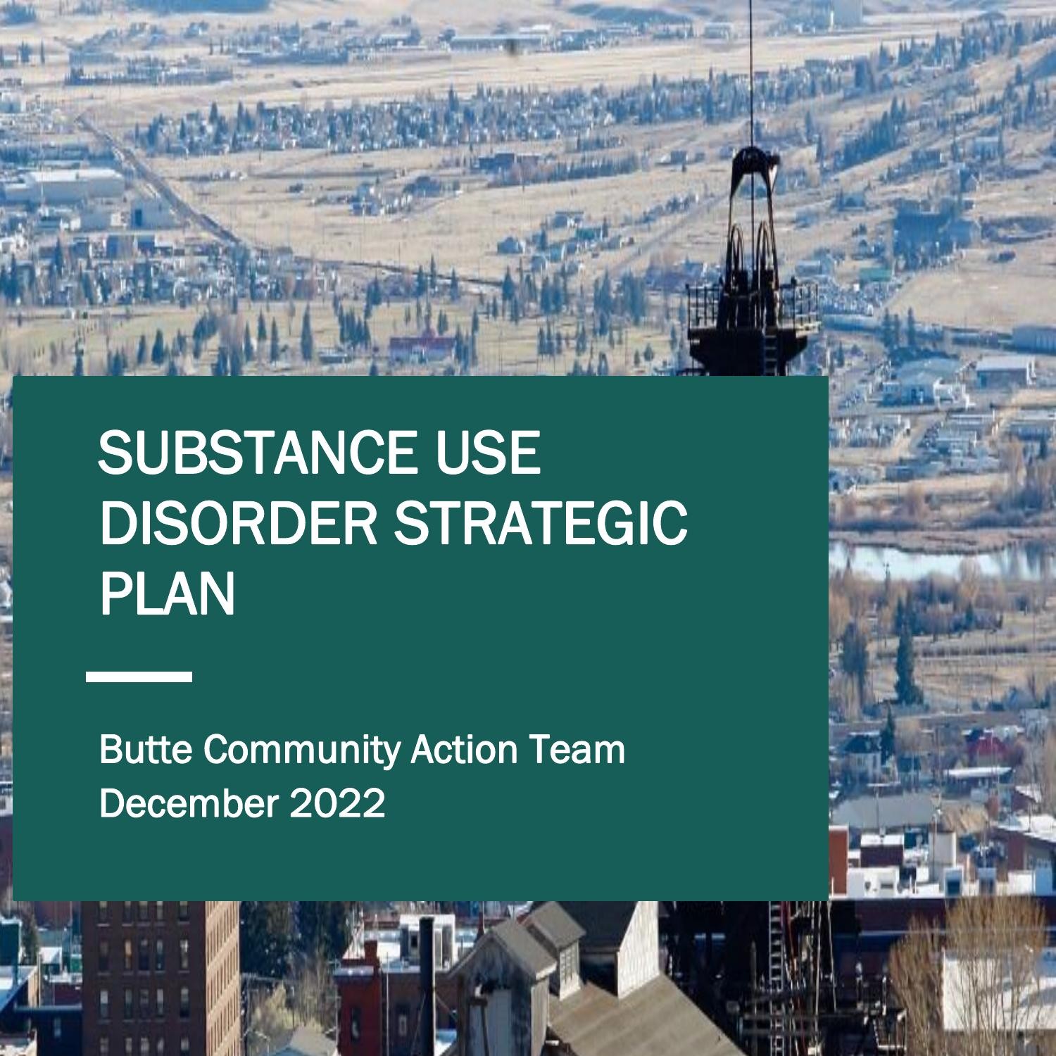 CAT Strategic Plan.pdf | DocDroid