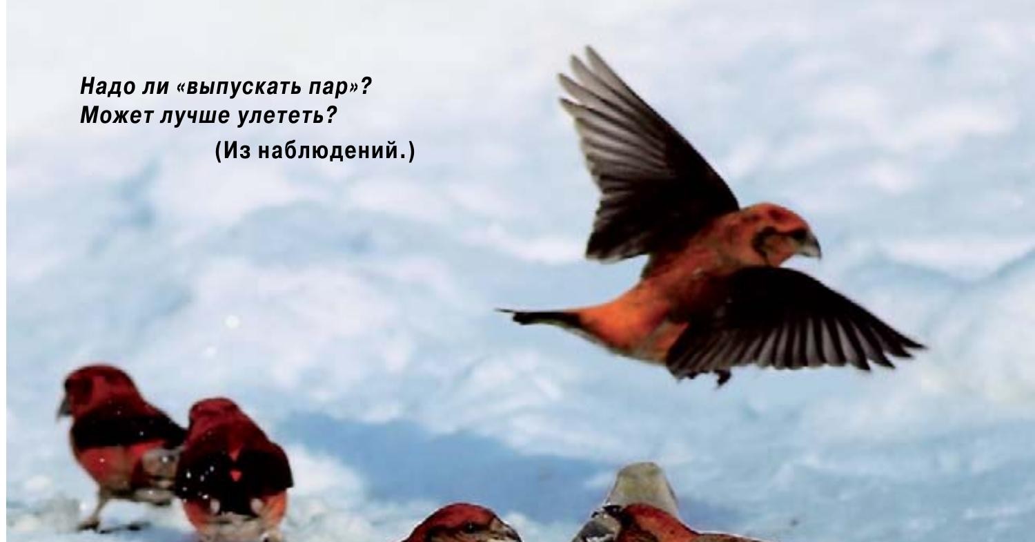 NIJ012012.pdf | DocDroid