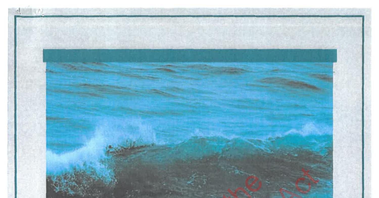 He Puapua.pdf | DocDroid