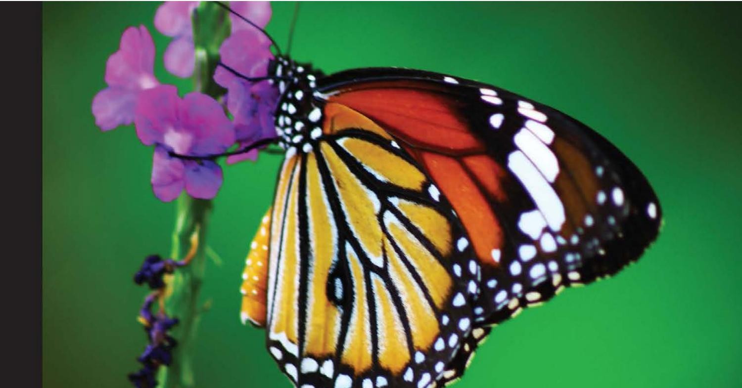 NumPy Cookbook.pdf | DocDroid