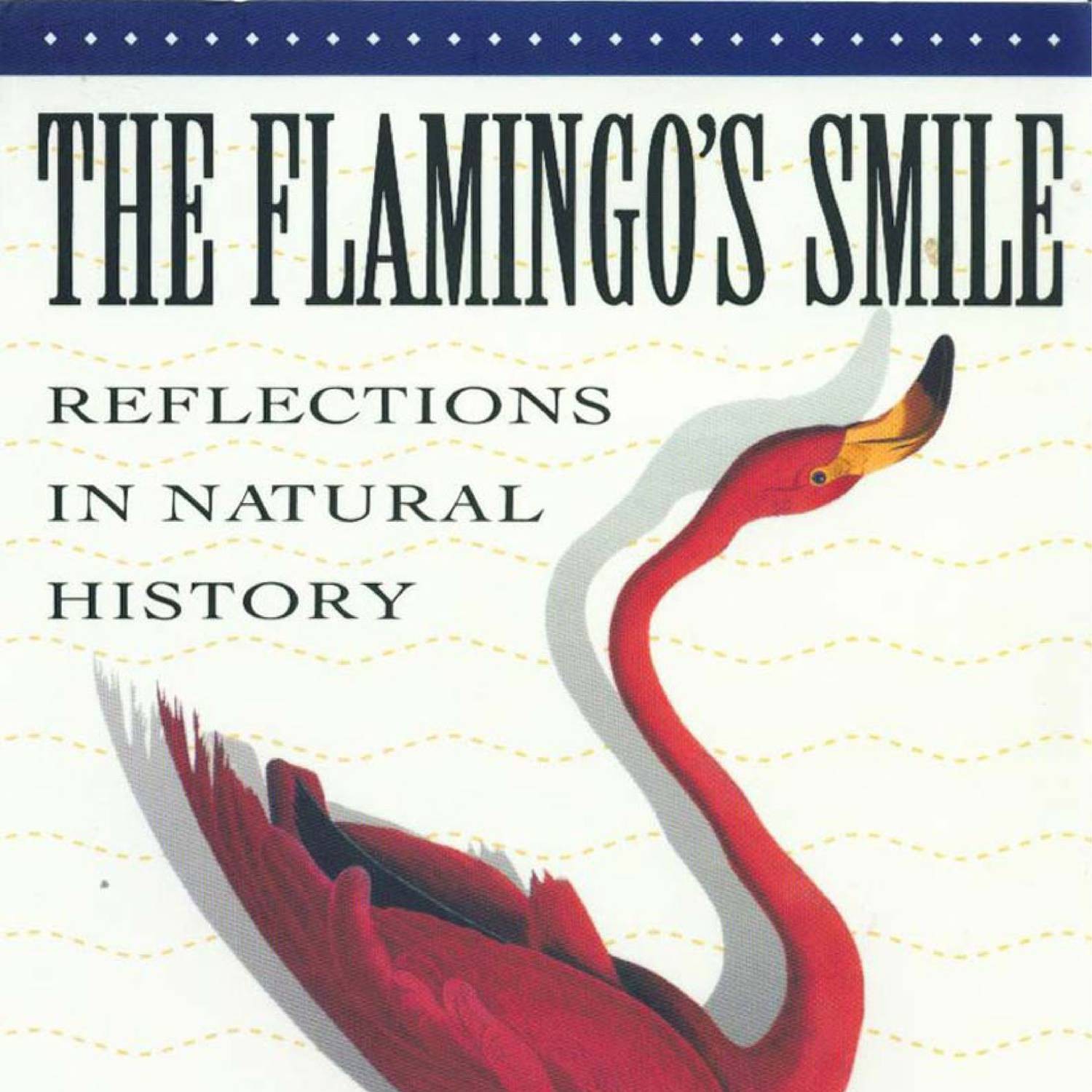 Flamingo's_Smile_Stephen_Jay_Gould.pdf | DocDroid