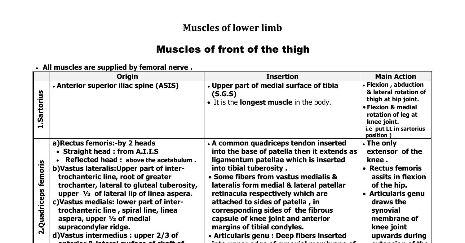 Muscles of lower limb 2022.doc | DocDroid