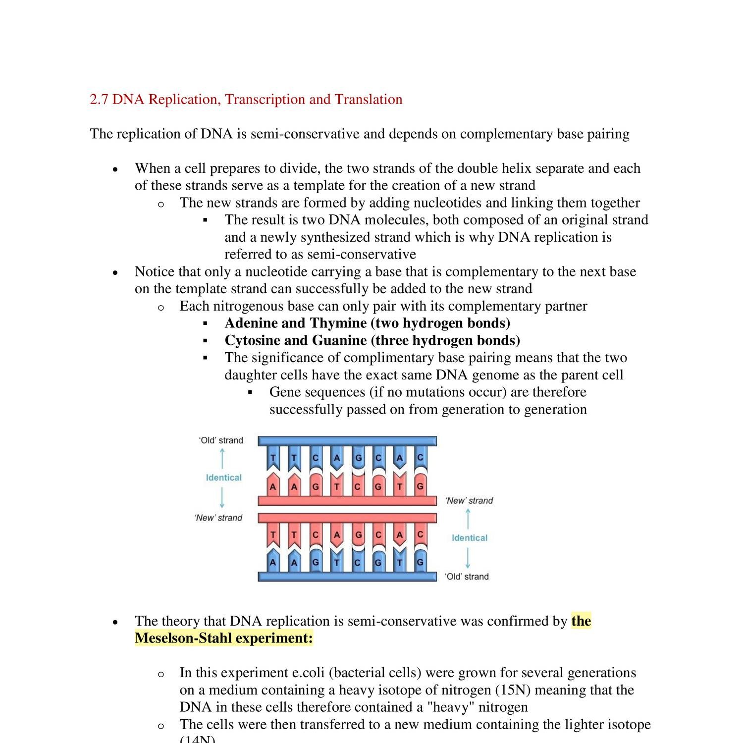 2.7-DNA replication, transcription and translation.pdf | DocDroid