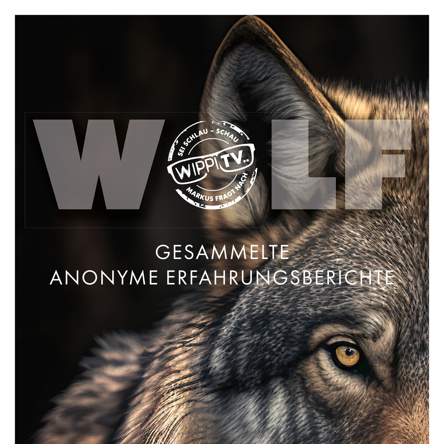 WippiTV_WOLF Berichte_11122023.pdf | DocDroid