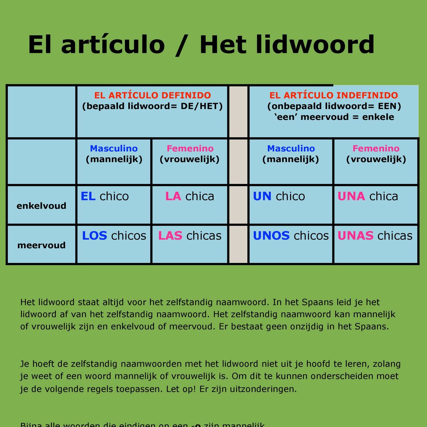POSTER het lidwoord.pdf | DocDroid