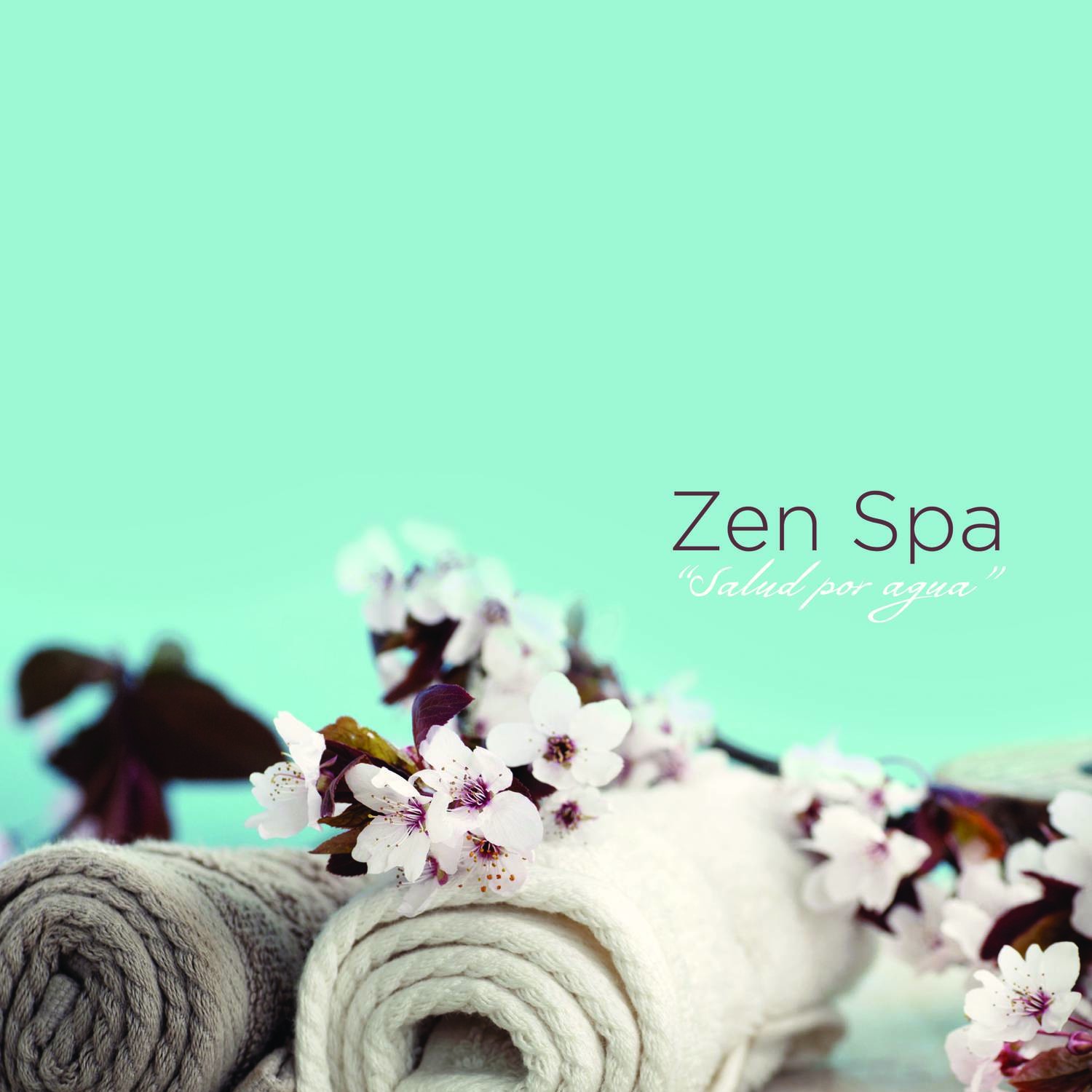 SPA ZEN MENU HYATT ZIVA CANCUN.pdf | DocDroid